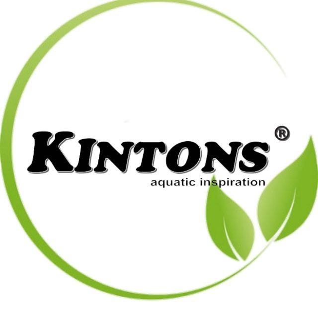 kintons thailand(official), ร้านค้าออนไลน์ | Shopee Thailand