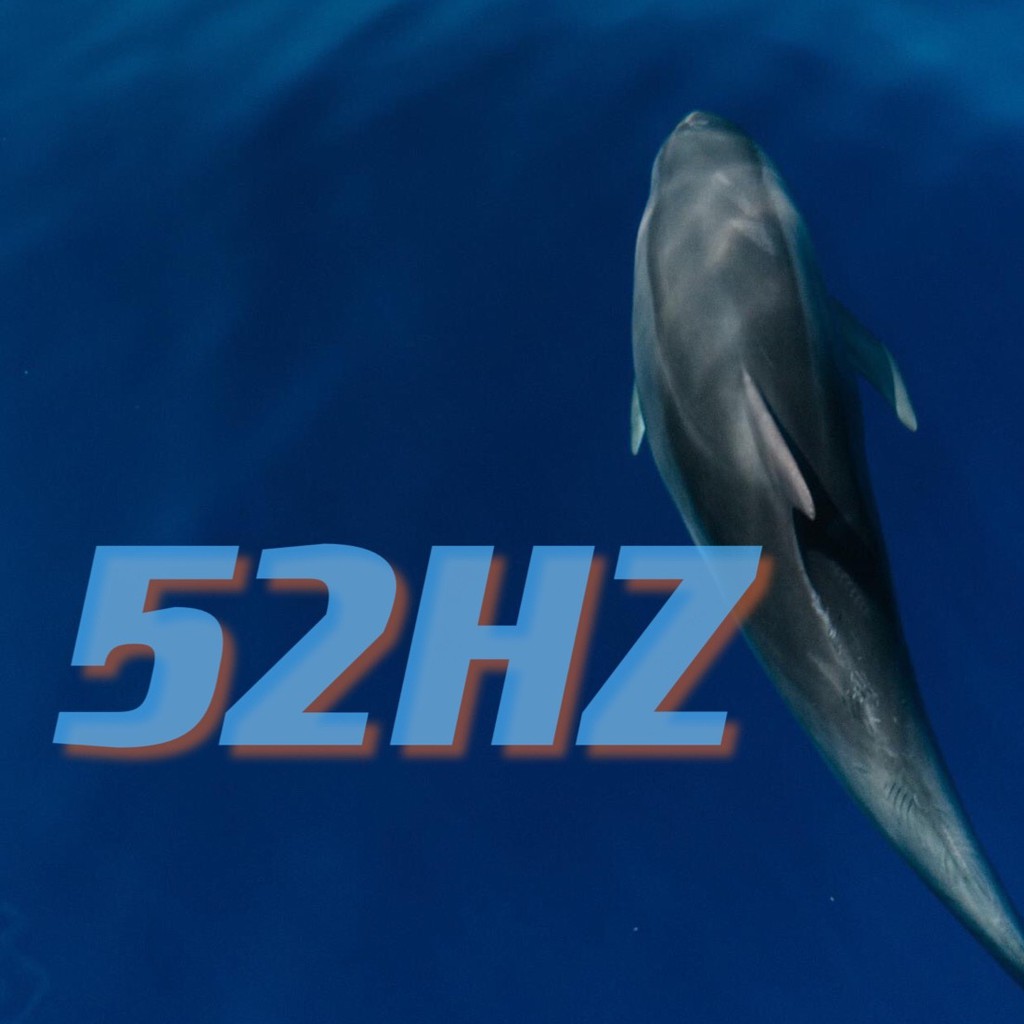 52Hz whale, ร้านค้าออนไลน์ | Shopee Thailand
