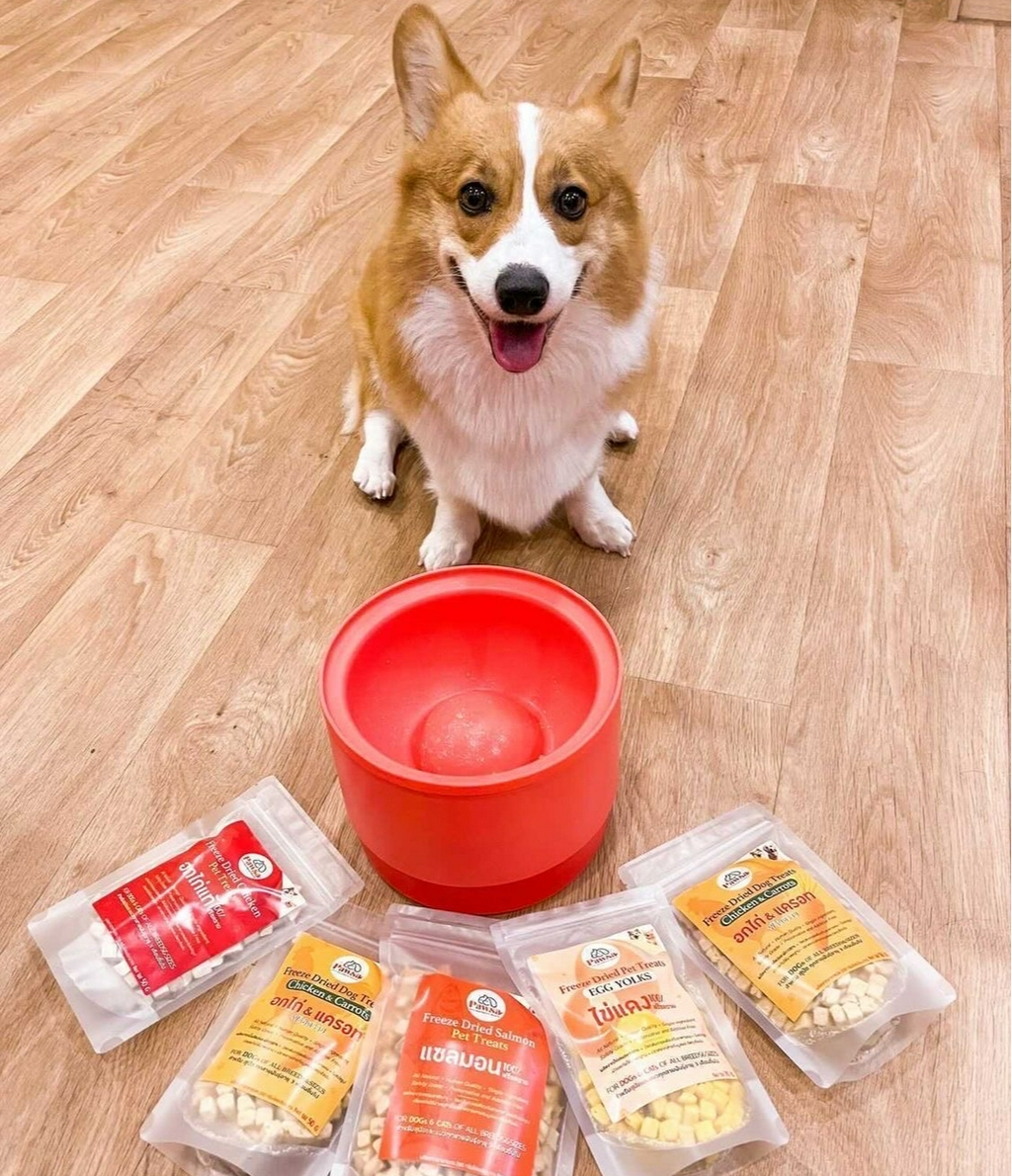 Pawsa Petfood, ร้านค้าออนไลน์ | Shopee Thailand