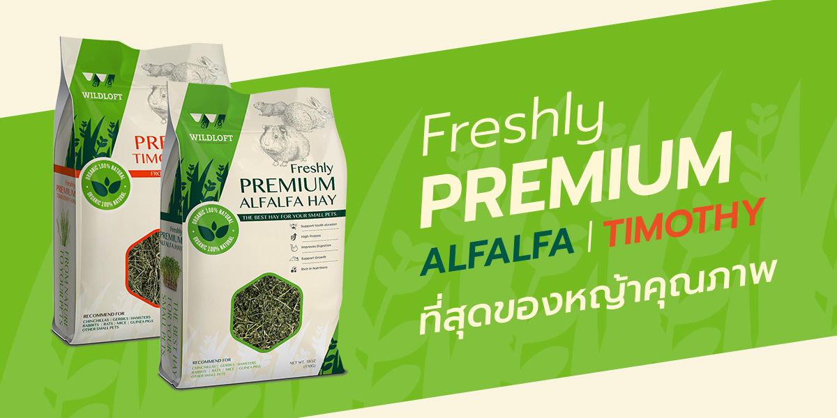 สั่งซื้อสินค้าออนไลน์จาก WILDLOFT OFFICIAL | Shopee Thailand