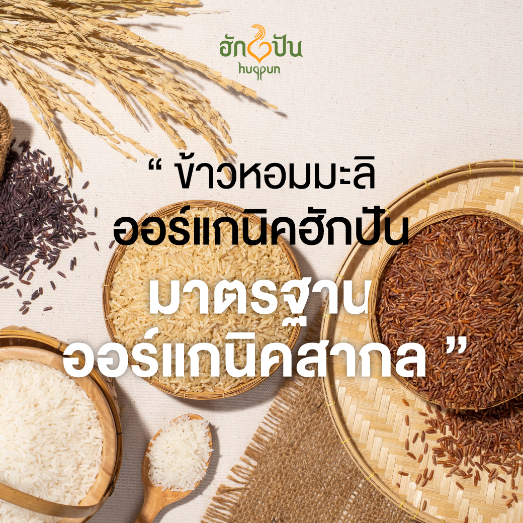 Hugpun_Official., ร้านค้าออนไลน์ | Shopee Thailand