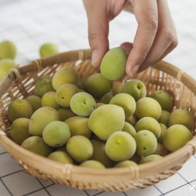 Shopping Plum, ร้านค้าออนไลน์ | Shopee Thailand