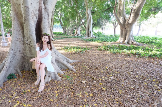 lovenattc, ร้านค้าออนไลน์ | Shopee Thailand