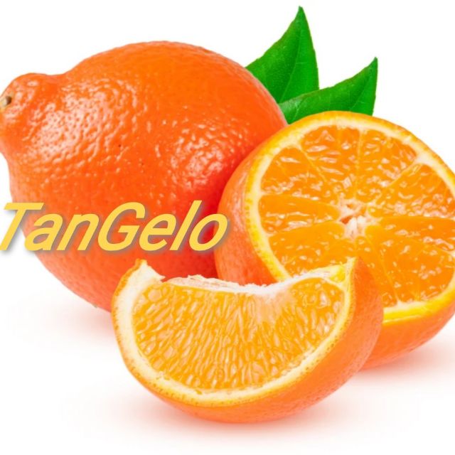 TanGelo, ร้านค้าออนไลน์ | Shopee Thailand