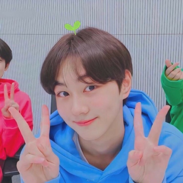 immaybee, ร้านค้าออนไลน์ | Shopee Thailand