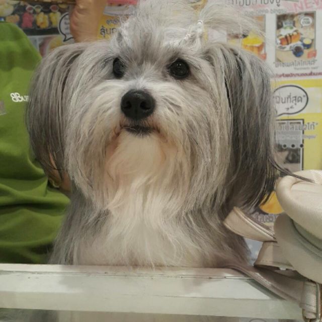 khun_wi, ร้านค้าออนไลน์ | Shopee Thailand