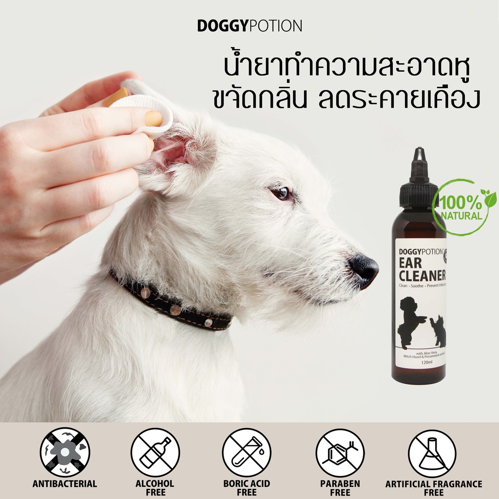 สั่งซื้อสินค้าออนไลน์จาก DOGGY POTION Official Store | Shopee Thailand