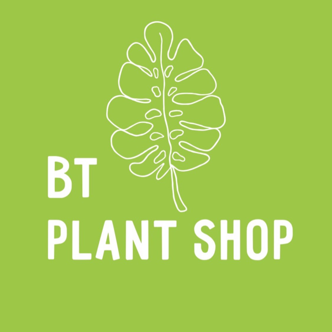 BT Plant Shop, ร้านค้าออนไลน์ | Shopee Thailand
