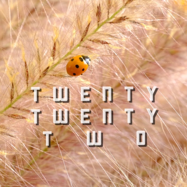 twentytwentytwo, ร้านค้าออนไลน์ | Shopee Thailand