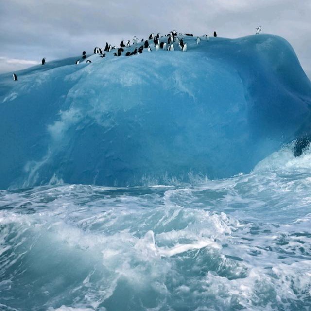 Nezra, ร้านค้าออนไลน์ | Shopee Thailand