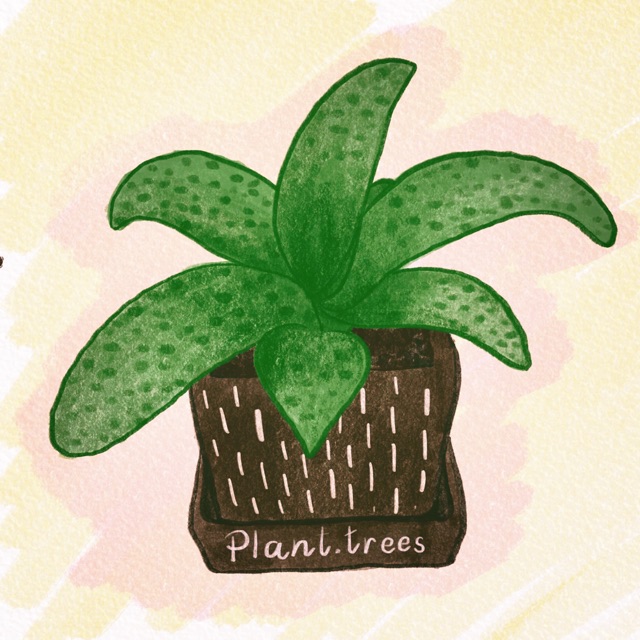 Plant.trees, ร้านค้าออนไลน์ | Shopee Thailand