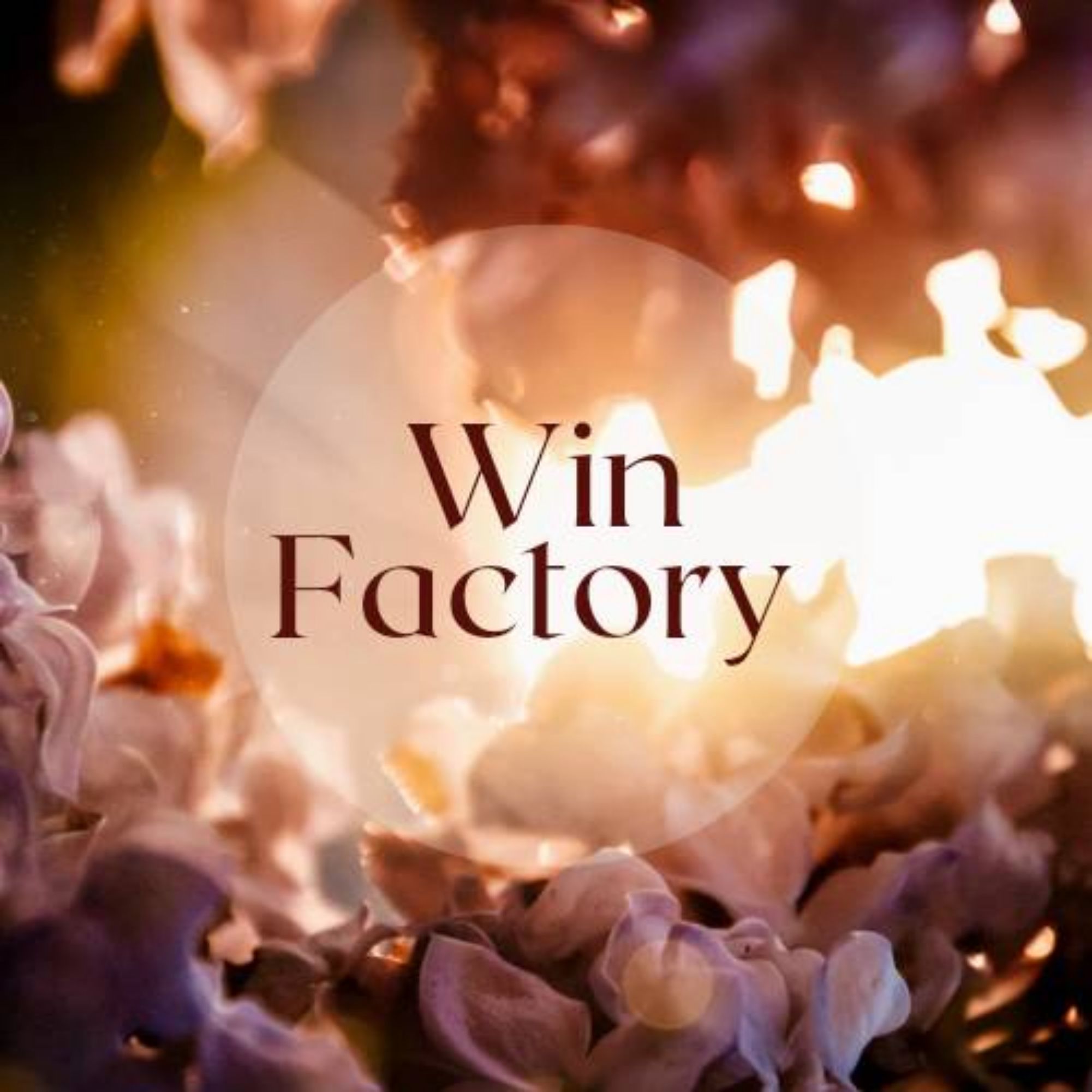 Win Factory, ร้านค้าออนไลน์ | Shopee Thailand
