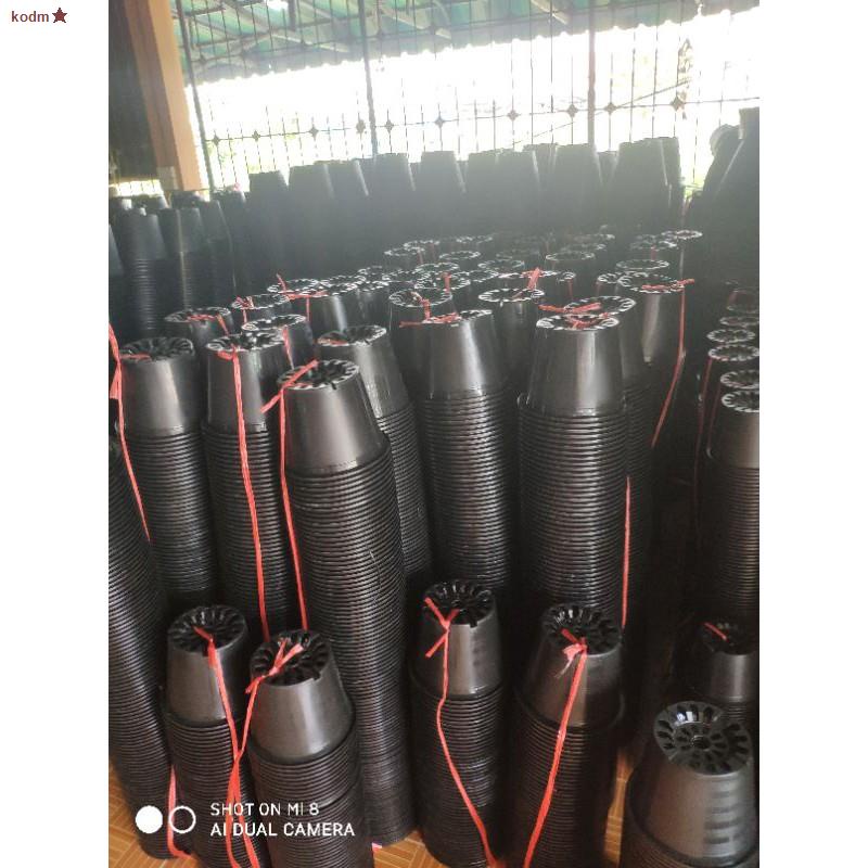 kodm★, ร้านค้าออนไลน์ | Shopee Thailand