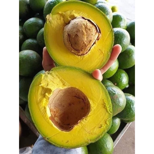 AROI Fruit Premium, ร้านค้าออนไลน์ | Shopee Thailand