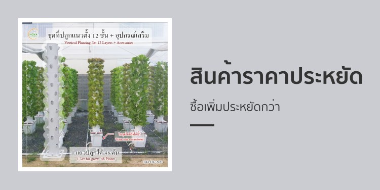 HOKA Farm, ร้านค้าออนไลน์ | Shopee Thailand