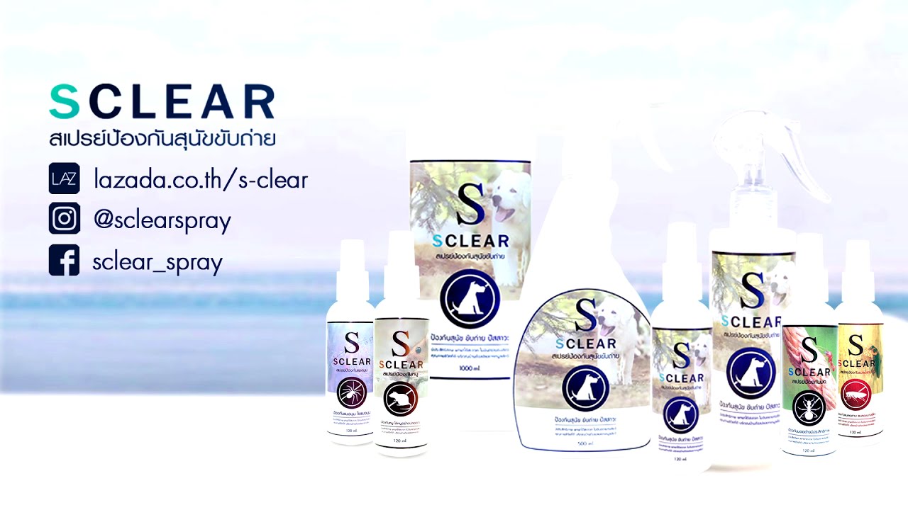 SCLEAR, ร้านค้าออนไลน์ | Shopee Thailand