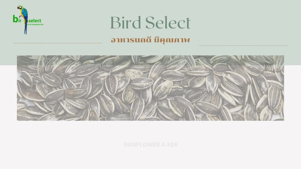 อาหารนก Bird select, ร้านค้าออนไลน์ | Shopee Thailand