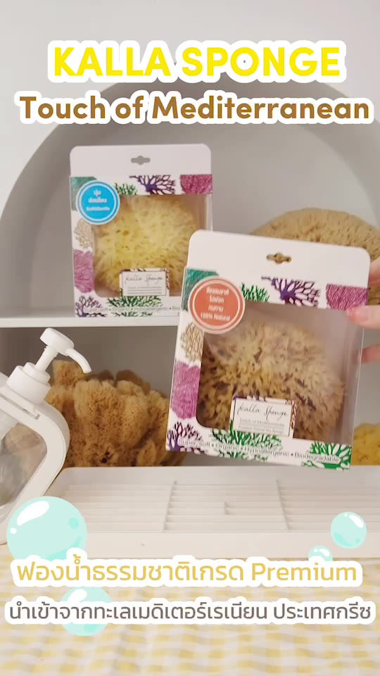 ฟองน้ำธรรมชาติ KALLA SPONGE, ร้านค้าออนไลน์ | Shopee Thailand