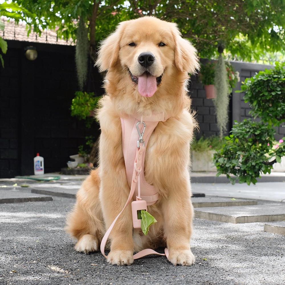 SHOP 4 U SINCE 2020, ร้านค้าออนไลน์ | Shopee Thailand