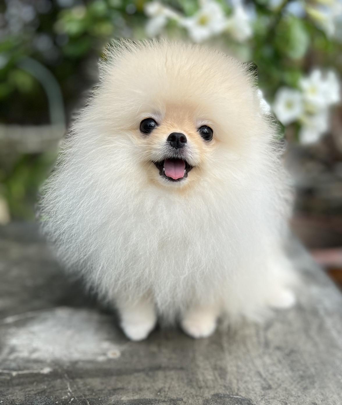 Longrak_Shop, ร้านค้าออนไลน์ | Shopee Thailand