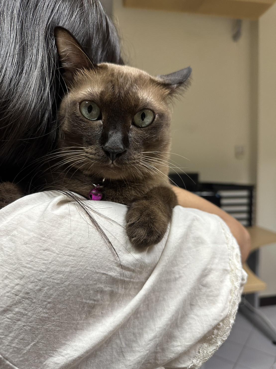 aom.wannapa, ร้านค้าออนไลน์ | Shopee Thailand