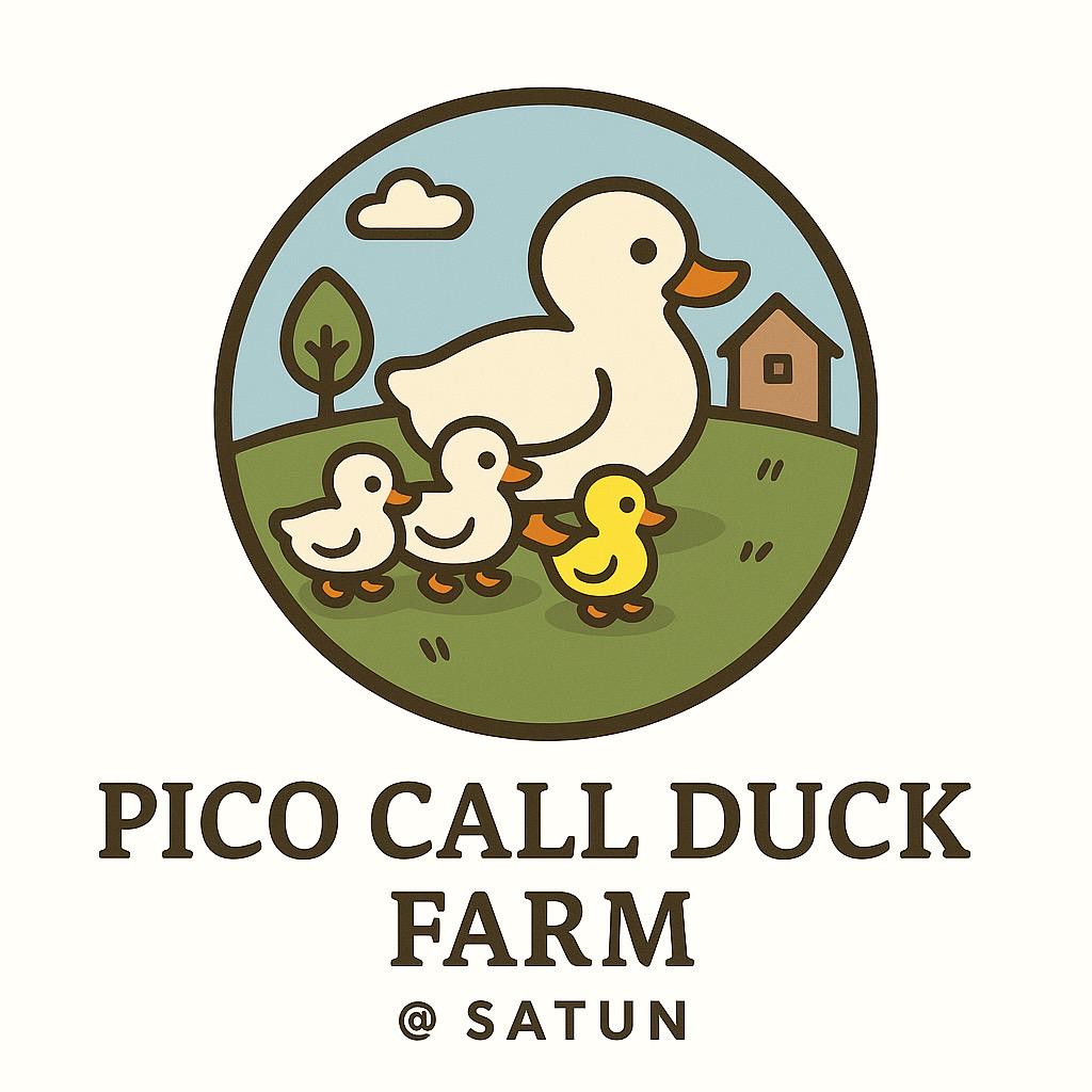 Pico Call Duck Farm, ร้านค้าออนไลน์ | Shopee Thailand