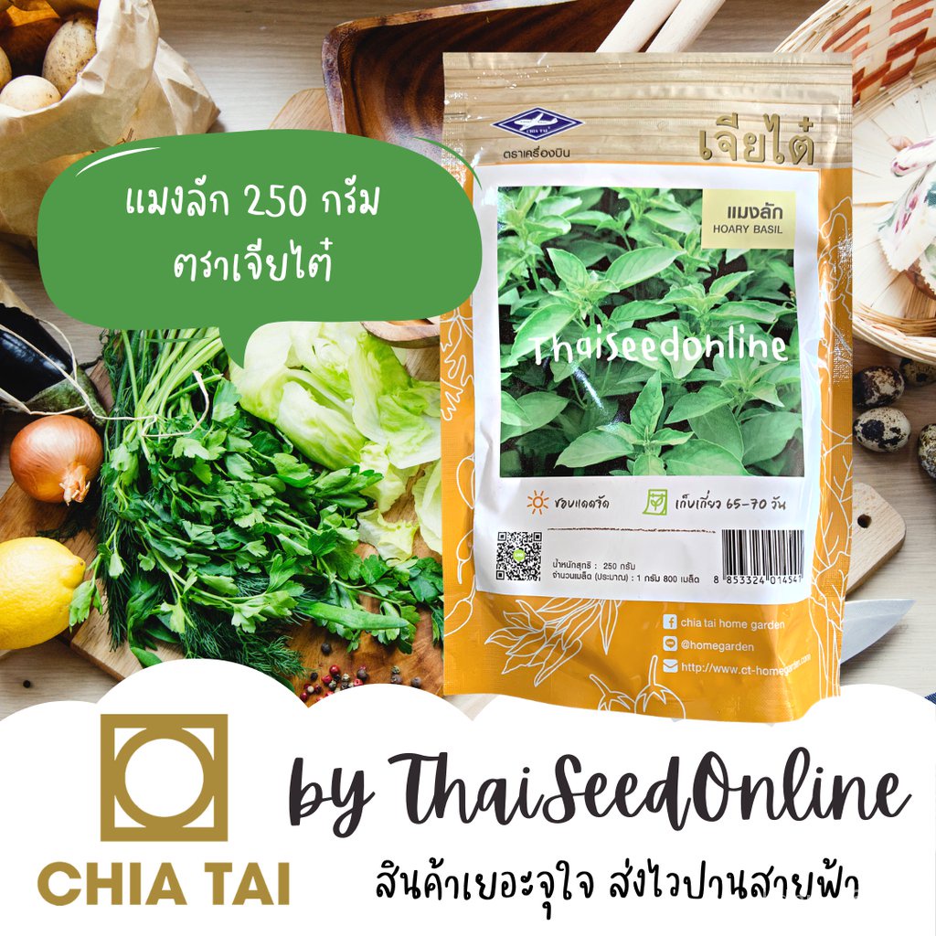 bdhu_q65w2, ร้านค้าออนไลน์ | Shopee Thailand