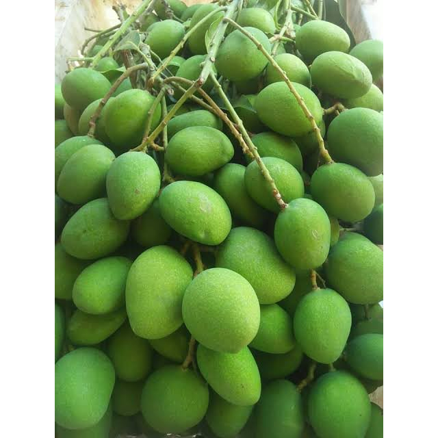 Yanee 99 shop, ร้านค้าออนไลน์ | Shopee Thailand