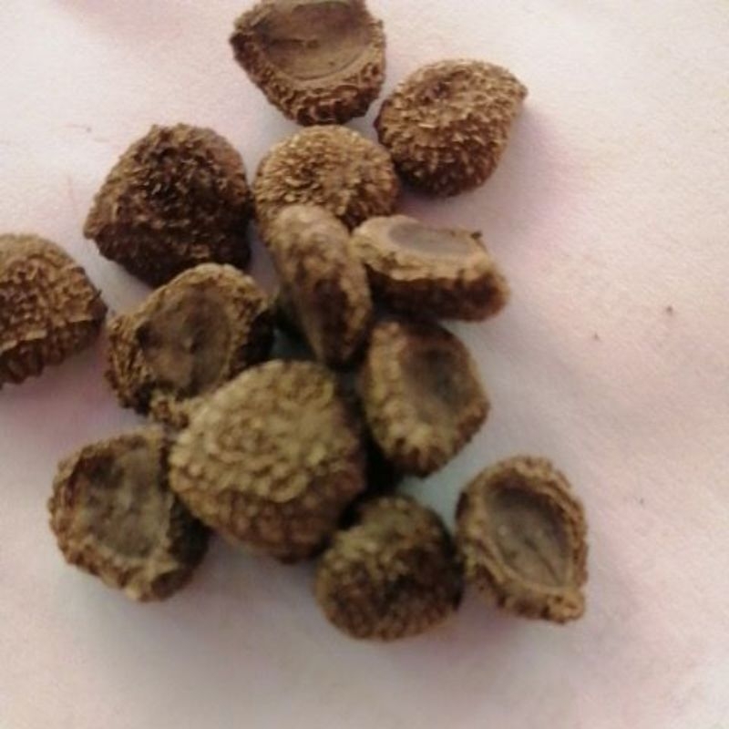 koidu, ร้านค้าออนไลน์ | Shopee Thailand