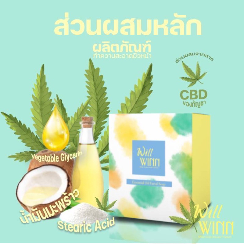 RAYIN Company, ร้านค้าออนไลน์ | Shopee Thailand