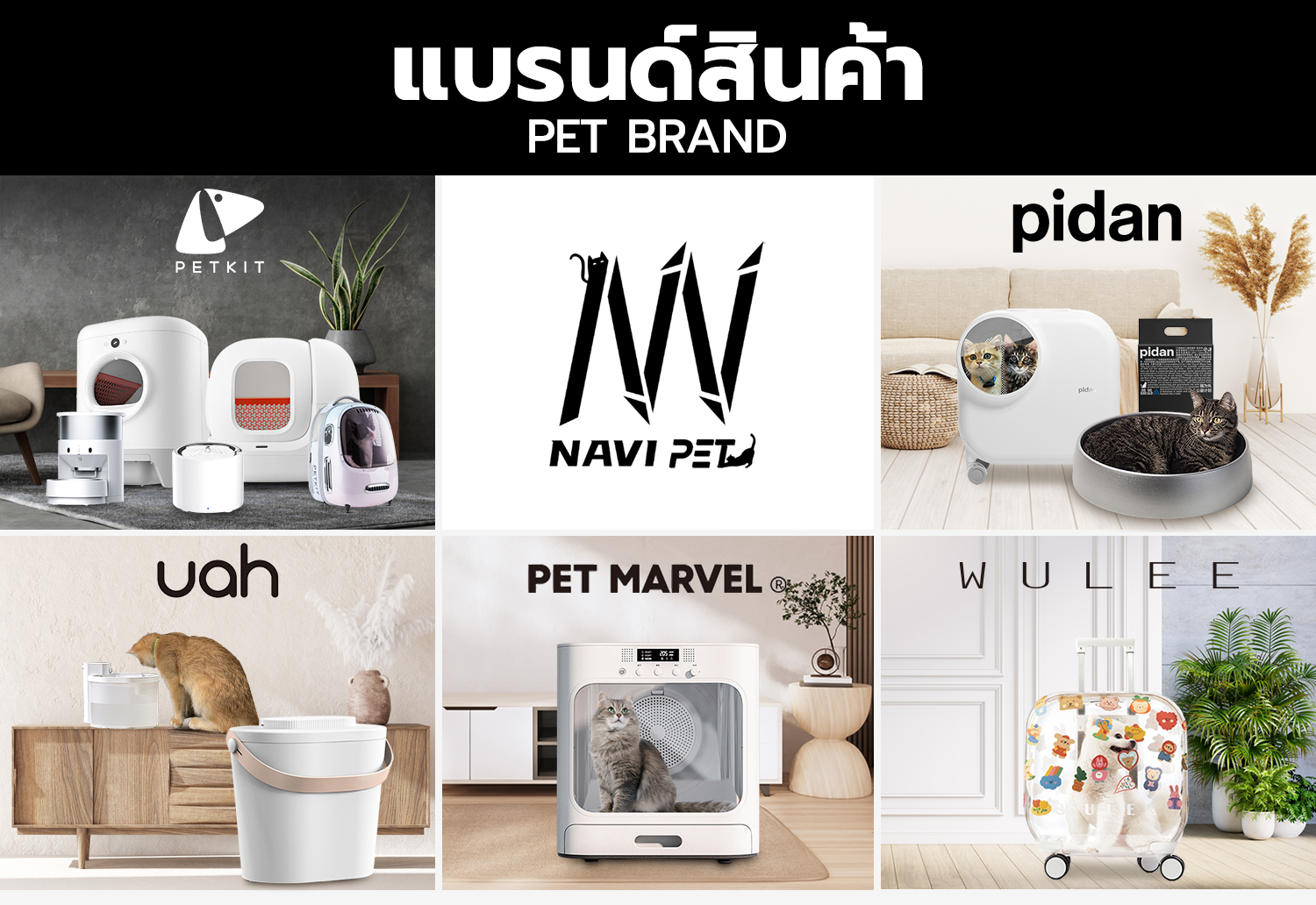 สั่งซื้อสินค้าออนไลน์จาก NAVI PET | Shopee Thailand