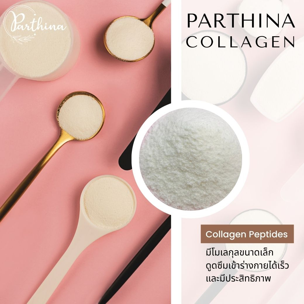 Parthina Official, ร้านค้าออนไลน์ | Shopee Thailand