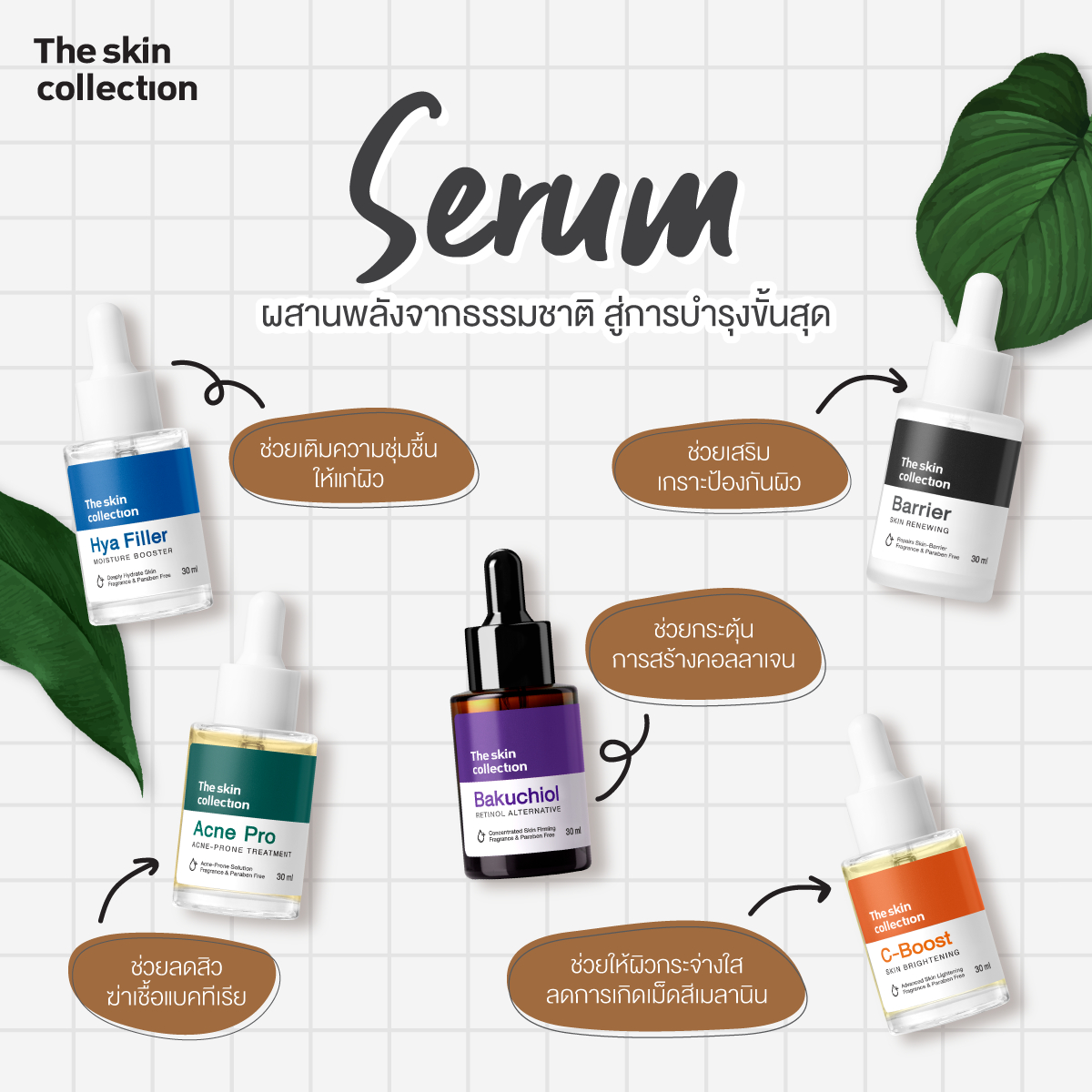 สั่งซื้อสินค้าออนไลน์จาก The Skin Collection | Shopee Thailand