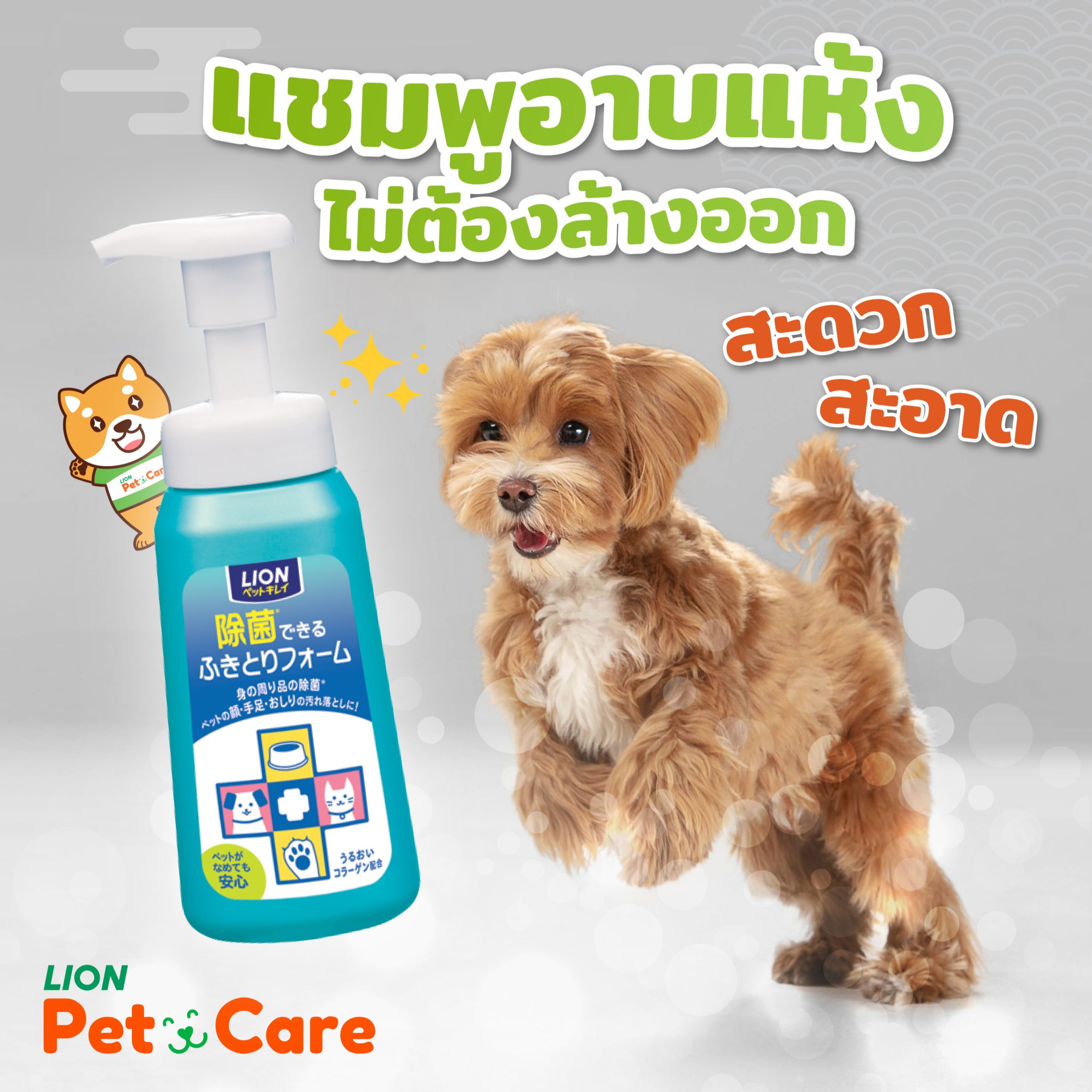 สั่งซื้อสินค้าออนไลน์จาก Lion Pet Care Official | Shopee Thailand