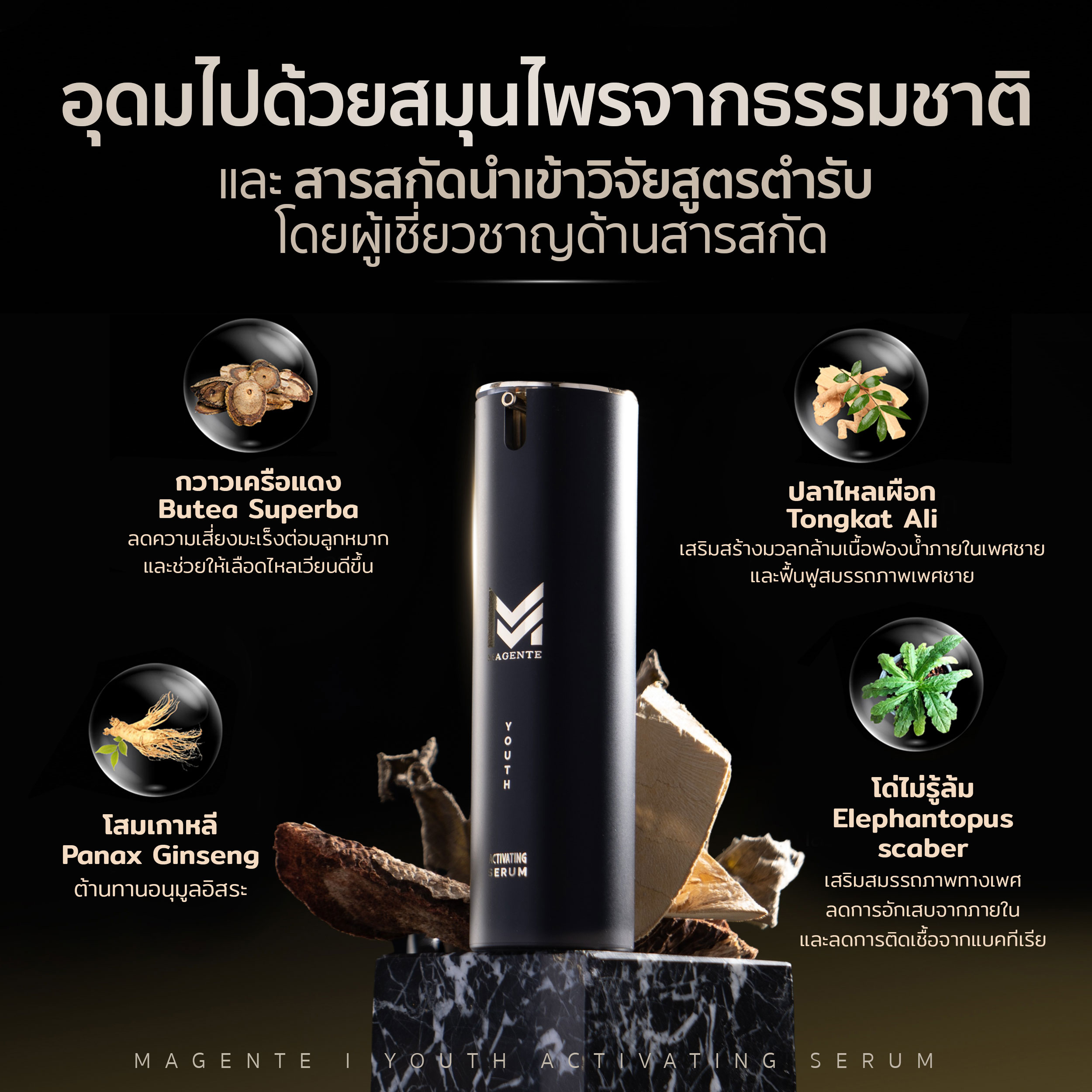 Magente Official, ร้านค้าออนไลน์ | Shopee Thailand