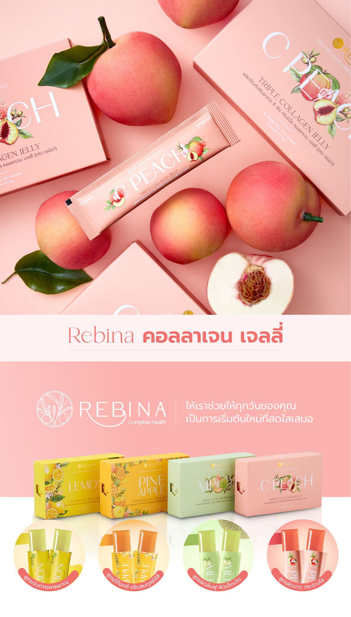 rebina, ร้านค้าออนไลน์ | Shopee Thailand