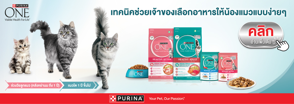 สั่งซื้อสินค้าออนไลน์จาก Nestle Purina Official | Shopee Thailand