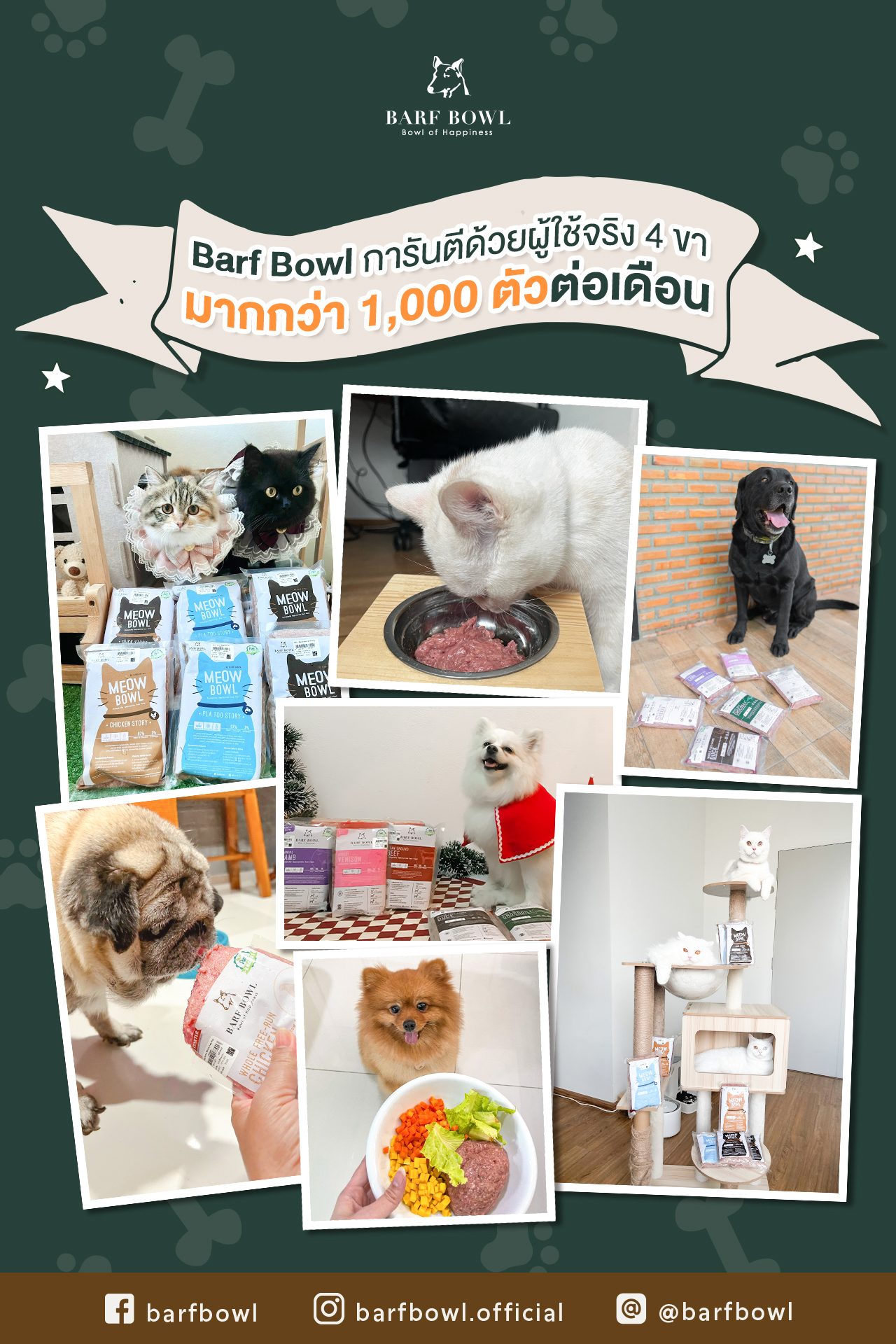 BARF BOWL, ร้านค้าออนไลน์ | Shopee Thailand