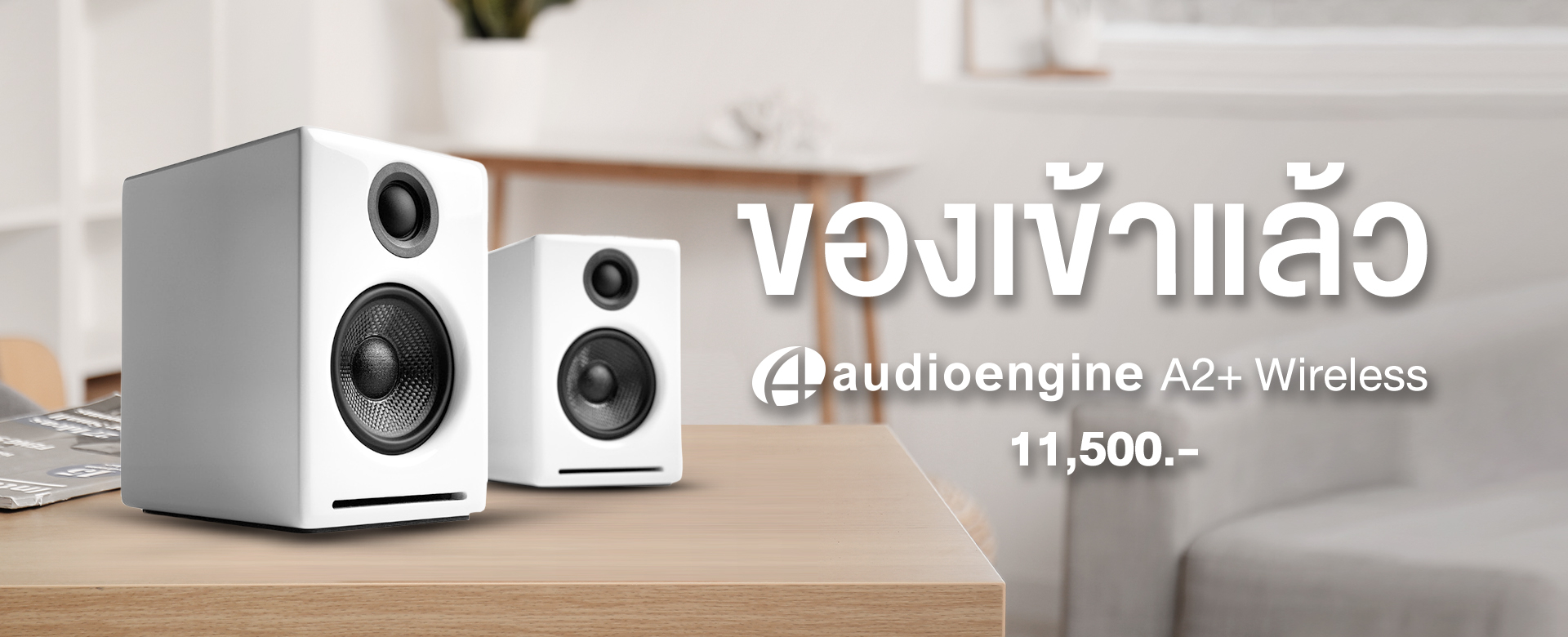 สั่งซื้อสินค้าออนไลน์จาก ProPlugin_Shop | Shopee Thailand