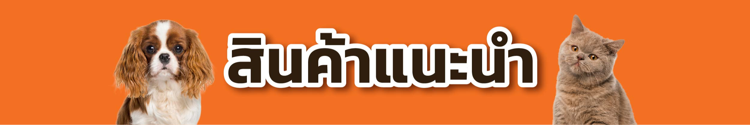 Pet and More, ร้านค้าออนไลน์ | Shopee Thailand