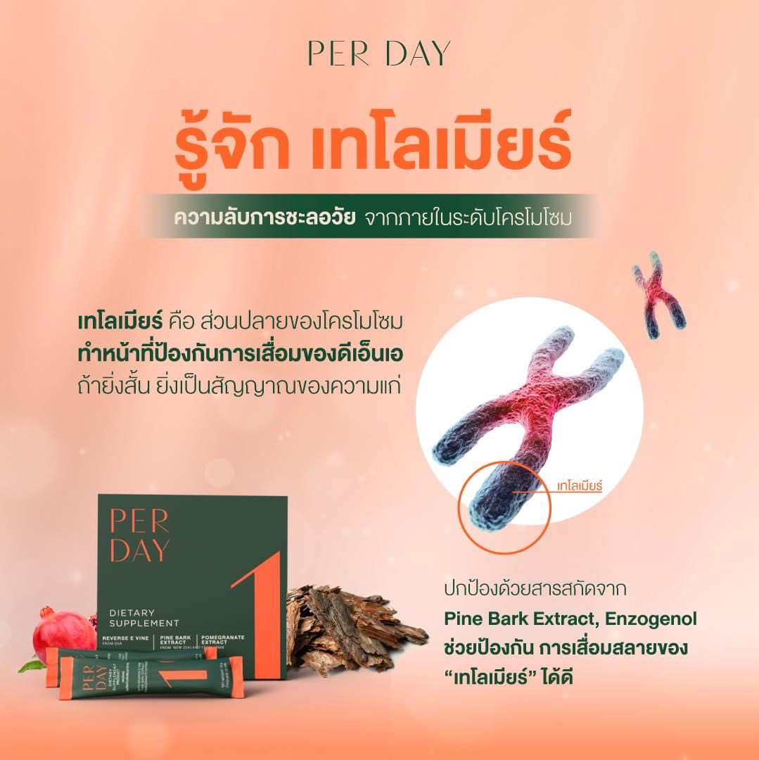 PERDAY, ร้านค้าออนไลน์ | Shopee Thailand