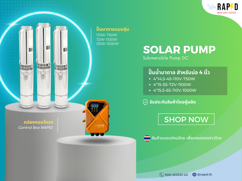 RAP/D Solar Cell Thailand, ร้านค้าออนไลน์ | Shopee Thailand