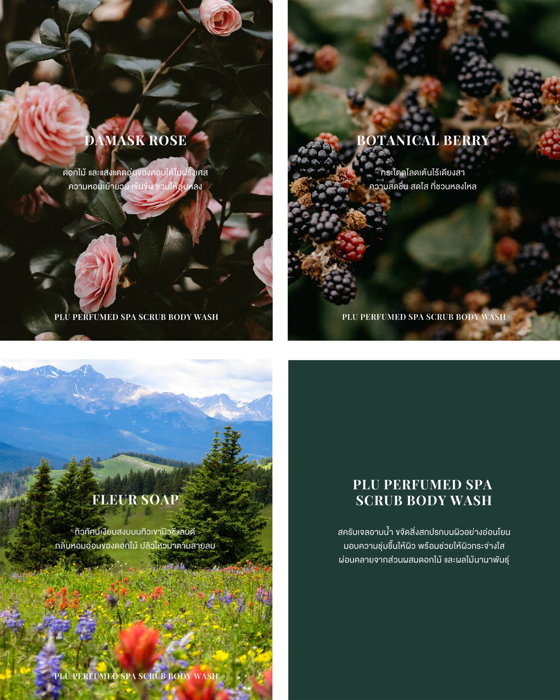 สั่งซื้อสินค้าออนไลน์จาก Plu Official Store | Shopee Thailand