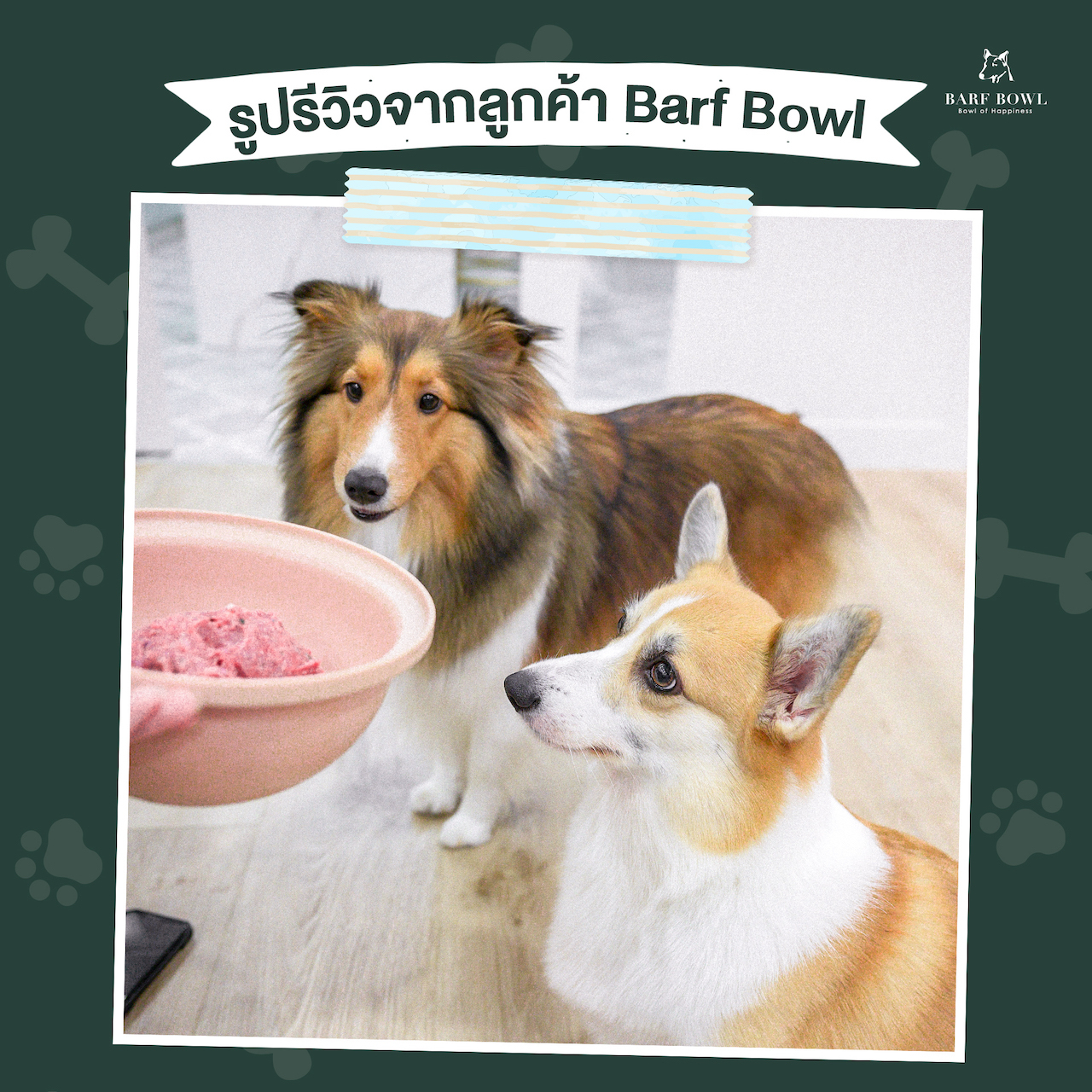 BARF BOWL, ร้านค้าออนไลน์ | Shopee Thailand