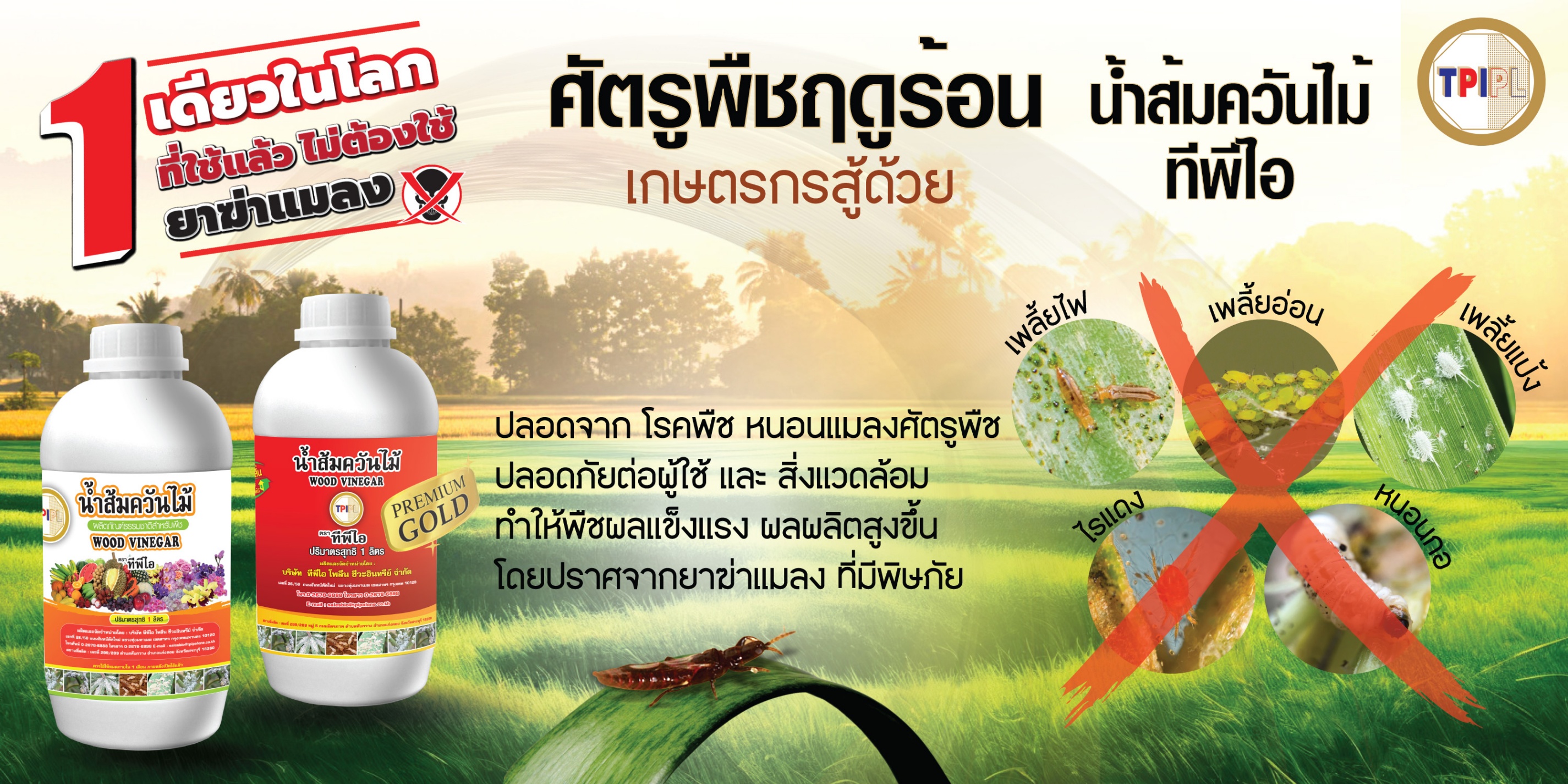 TPI POLENE OFFICIAL STORE, ร้านค้าออนไลน์ | Shopee Thailand