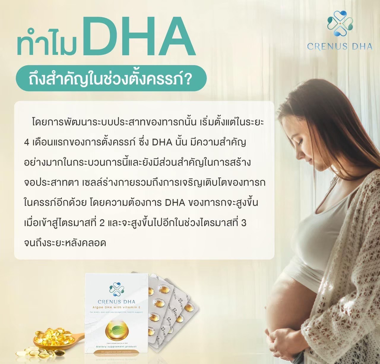 Crenus Official, ร้านค้าออนไลน์ | Shopee Thailand