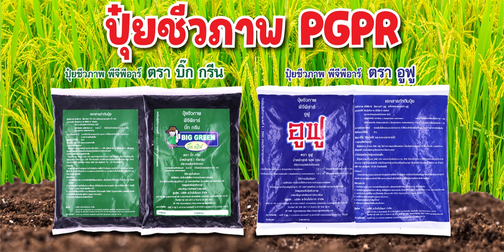 Parwel International, ร้านค้าออนไลน์ | Shopee Thailand