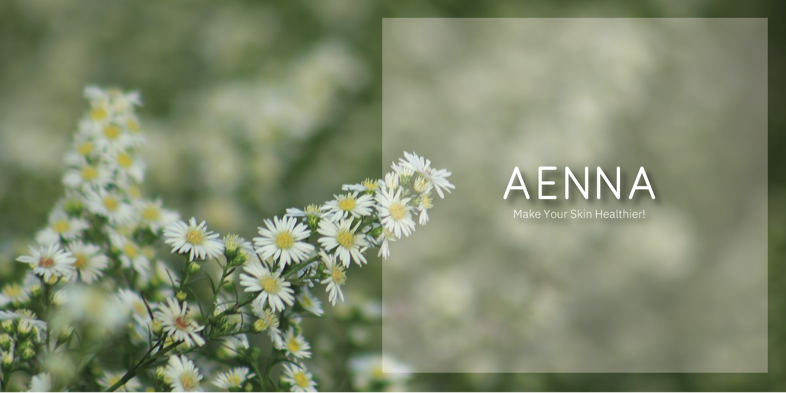 สั่งซื้อสินค้าออนไลน์จาก AENNA_BEAUTY | Shopee Thailand