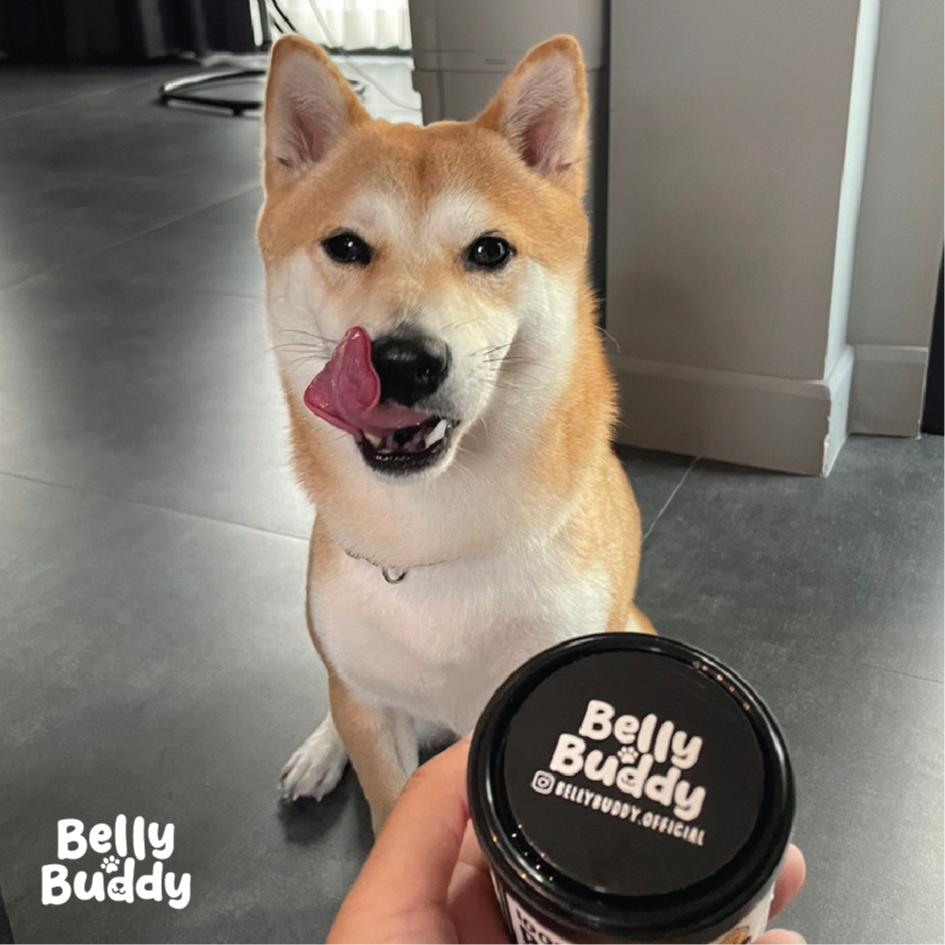 Belly Buddy, ร้านค้าออนไลน์ | Shopee Thailand