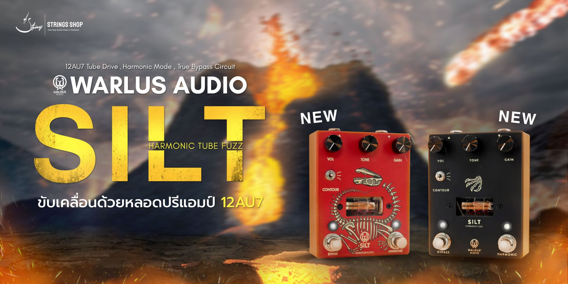 Strings Shop, ร้านค้าออนไลน์ | Shopee Thailand